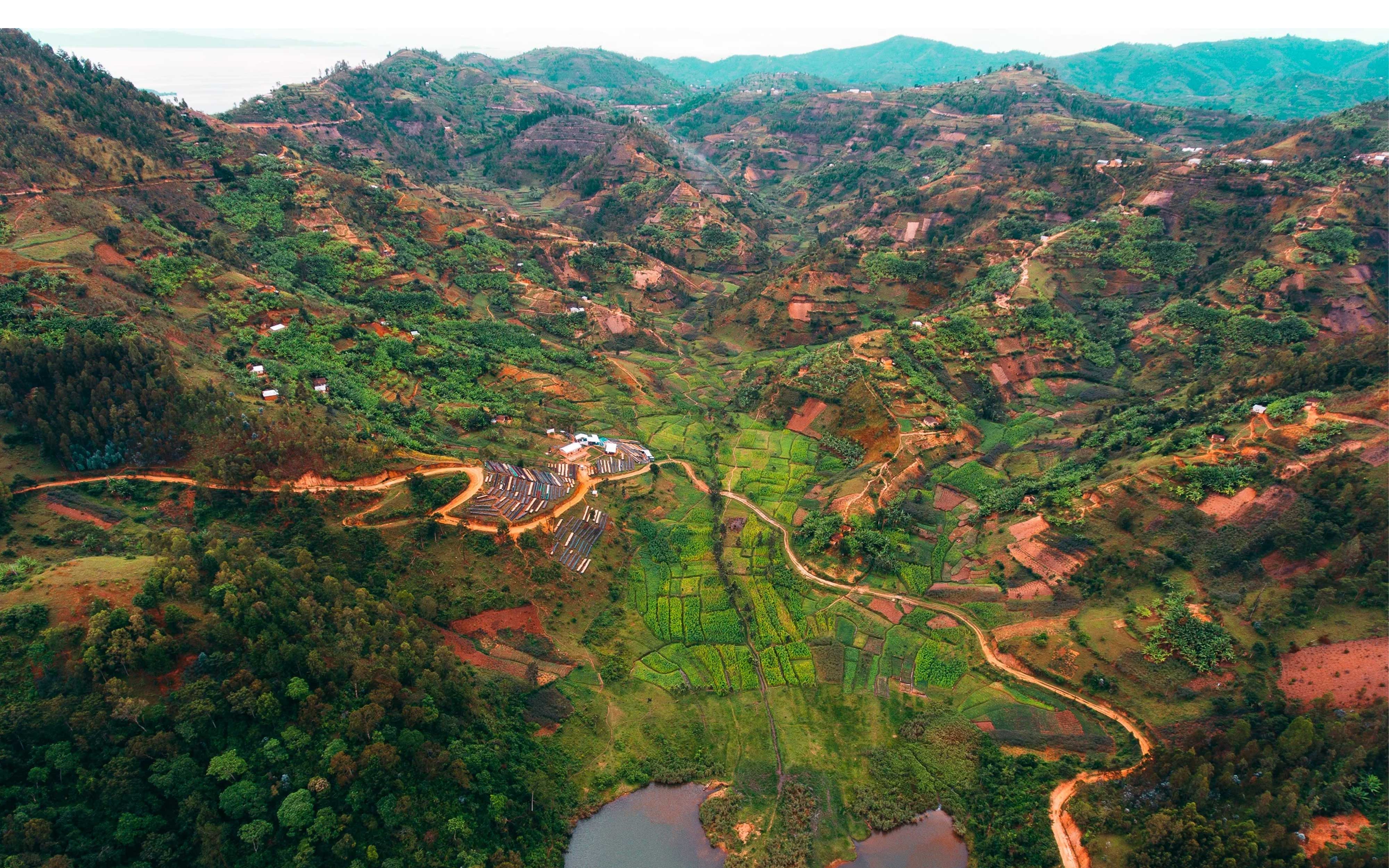 RWANDA KILIMBI WASHED – Upshot Coffee